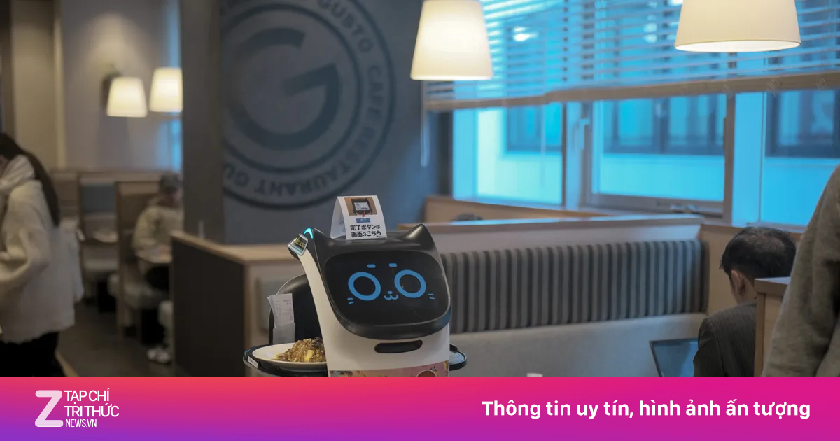 Độc đáo robot tai mèo phục vụ nhà hàng tại Nhật Bản | Znews.vn