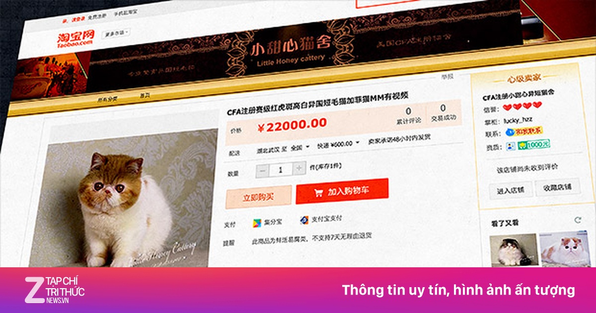6 món đồ gây bất ngờ từng xuất hiện trên Taobao - Kinh doanh - ZNEWS.VN
