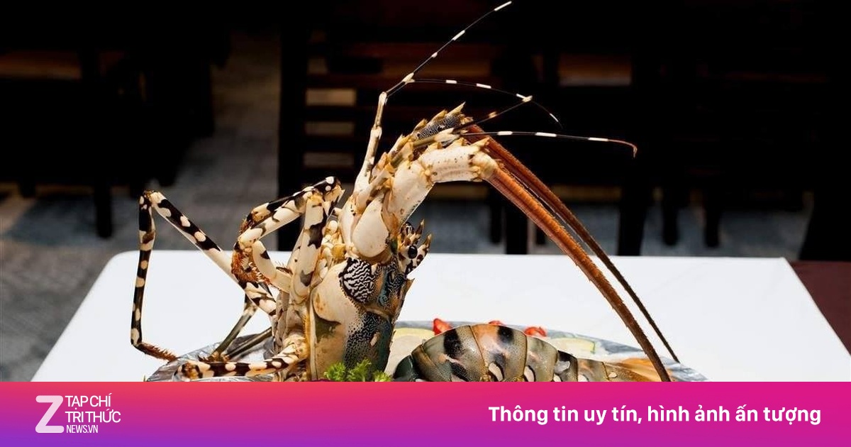 Tại sao tôm hùm bông đắt đỏ | Znews.vn