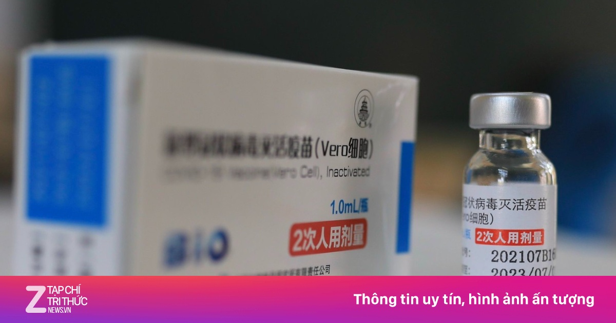 Phân bổ 8 triệu liều vaccine Vero Cell - Xã hội - ZNEWS.VN