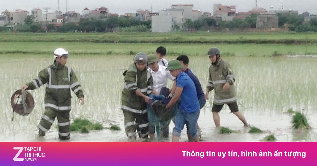 Người phụ nữ cấy thuê bị sét đánh tử vong giữa đồng - Xã hội - ZNEWS.VN