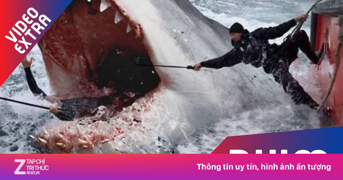Trailer The Meg - Cá Mập Siêu Bạo Chúa - Nhịp sống - ZNEWS.VN