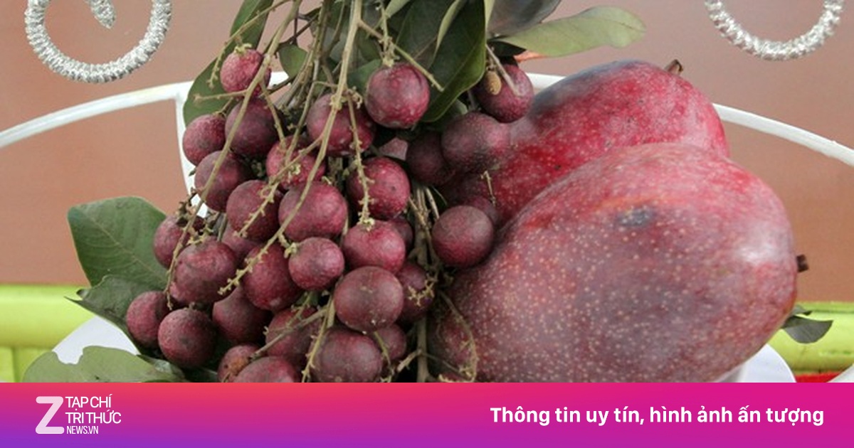 Trái cây lạ hút người dùng - Kinh doanh - ZNEWS.VN