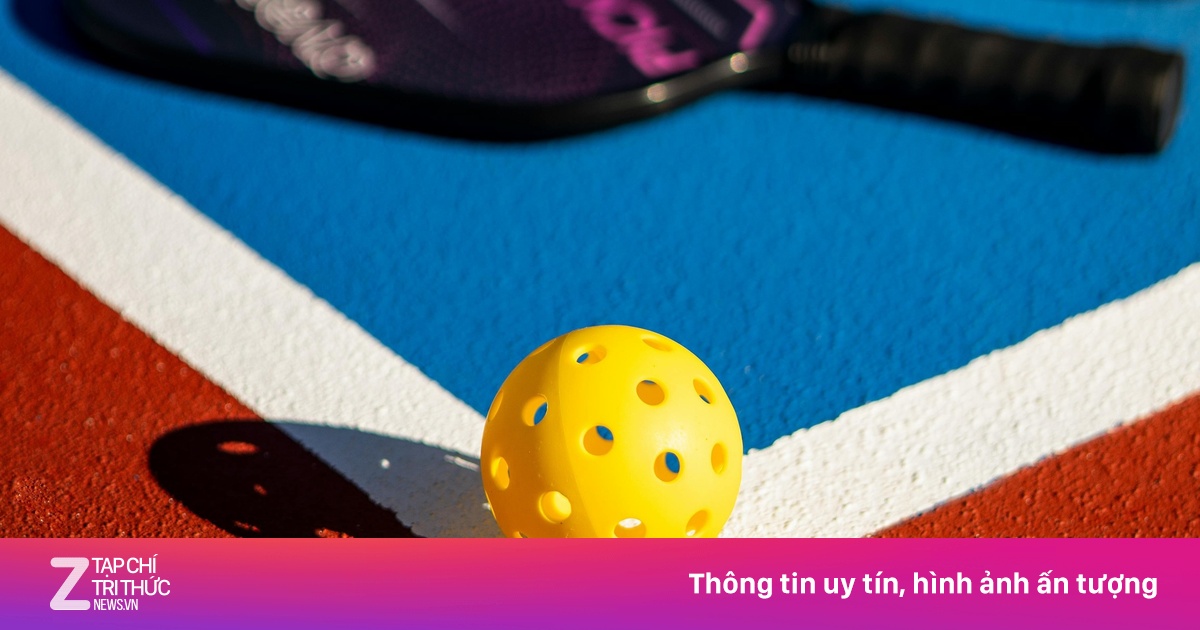 Phá hoại sân pickleball vì cay cú | Znews.vn