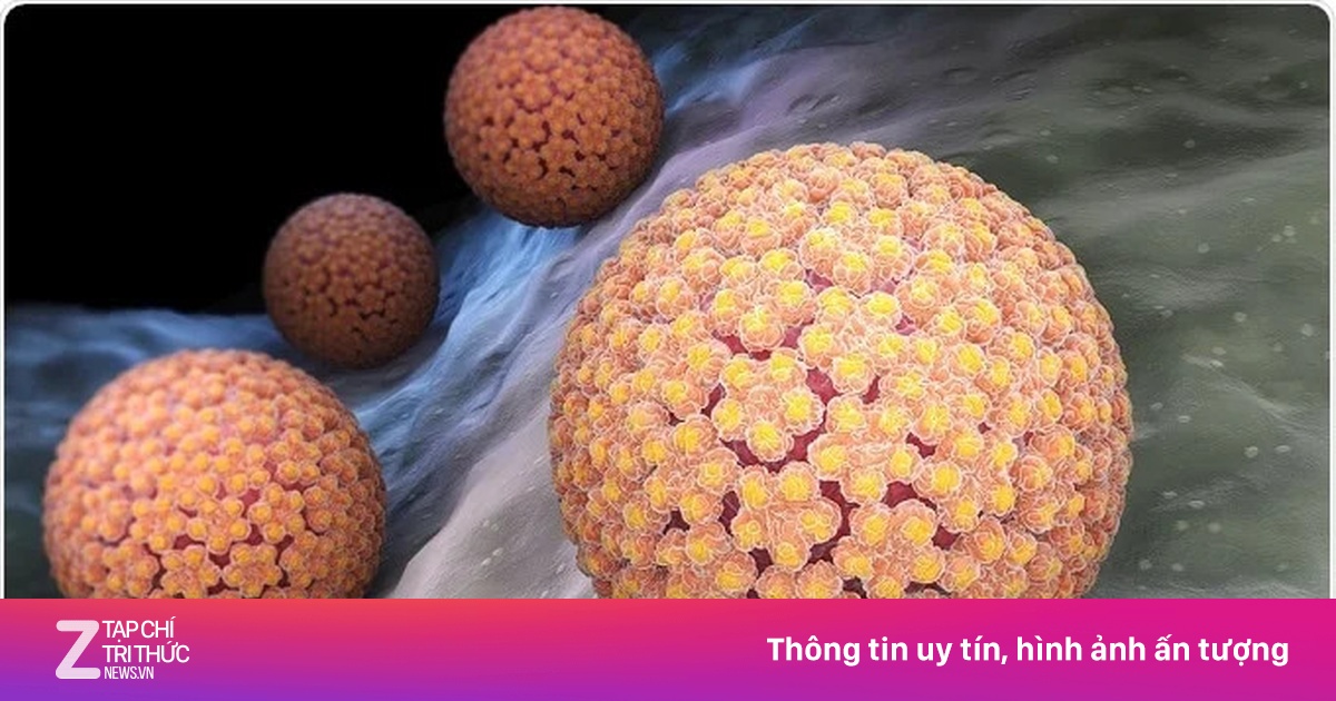Loại virus gây u nhú khiến 42 triệu người Mỹ mắc - Sức khỏe - ZNEWS.VN