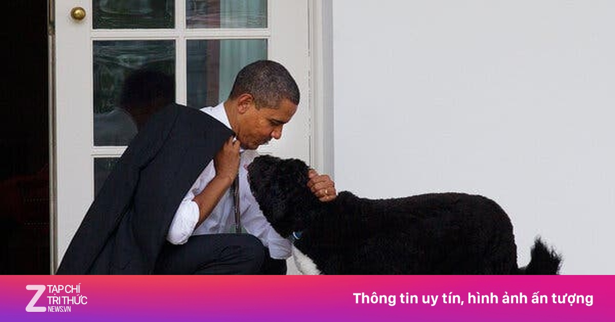 Ông Obama đăng tweet tiếc thương cựu đệ nhất khuyển của Nhà Trắng - Thế ...