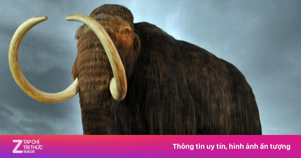 Điều gì xảy ra nếu những con voi ma mút chưa tuyệt chủng? | Znews.vn