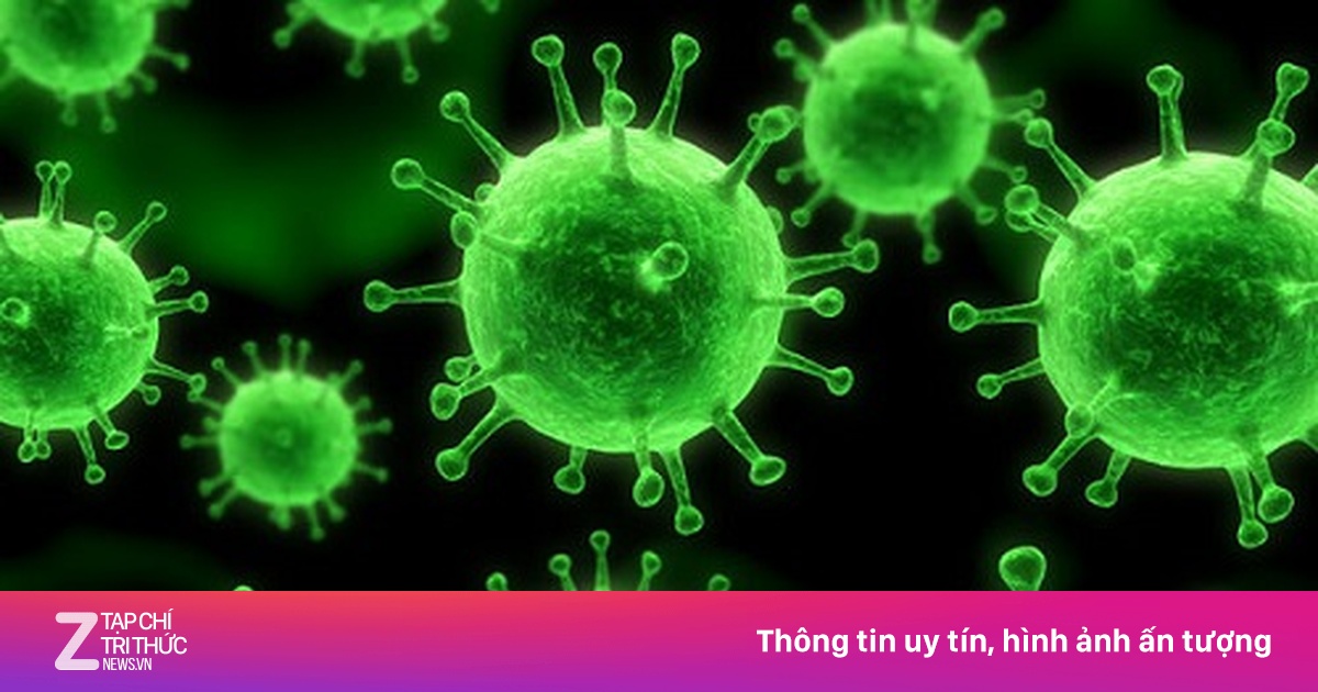 Virus HIV tàn phá cơ thể như thế nào? | Znews.vn