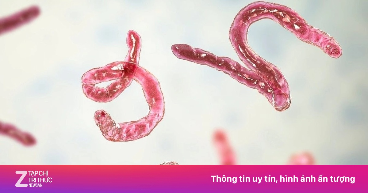 Bao lâu nên tẩy giun một lần? - Bệnh thường gặp - ZNEWS.VN