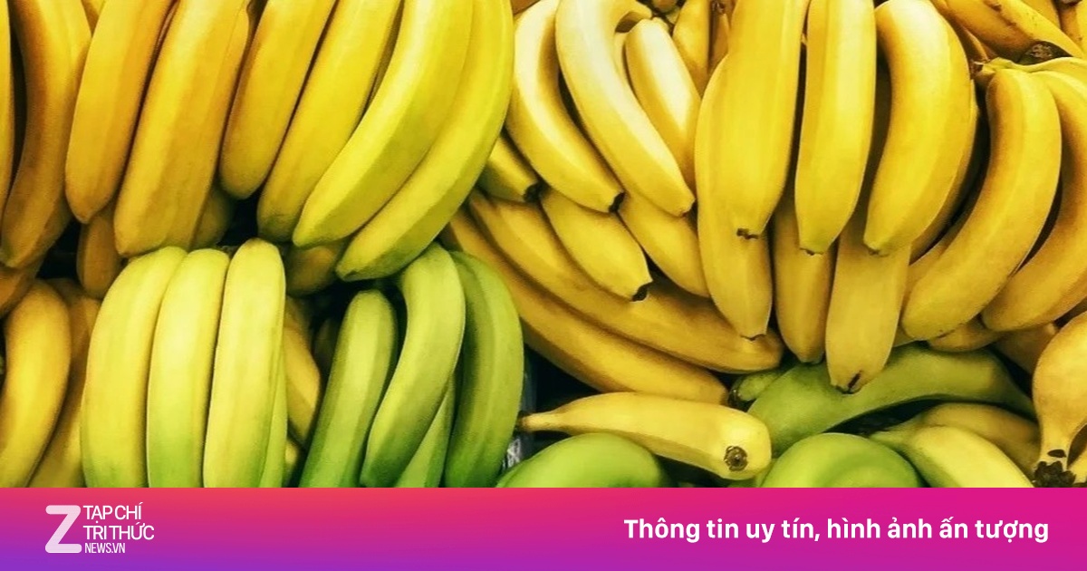Loại chuối bổ dưỡng tốt cho sức khỏe | Znews.vn