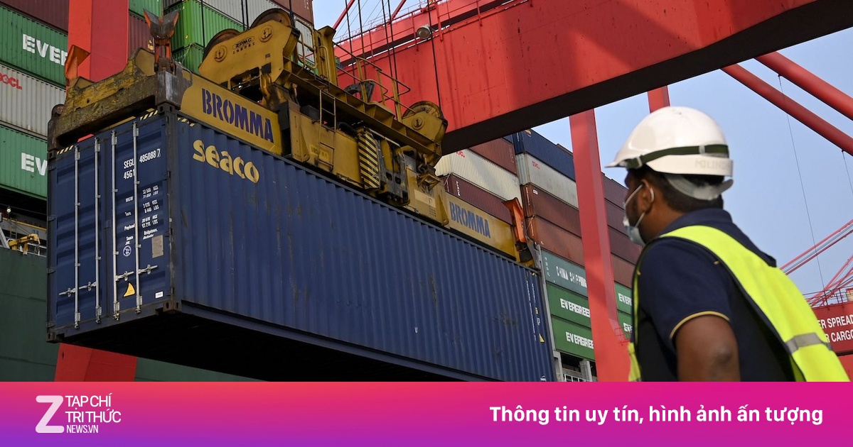 Sri Lanka trả Anh container rác thải chứa bộ phận cơ thể người - Thế ...