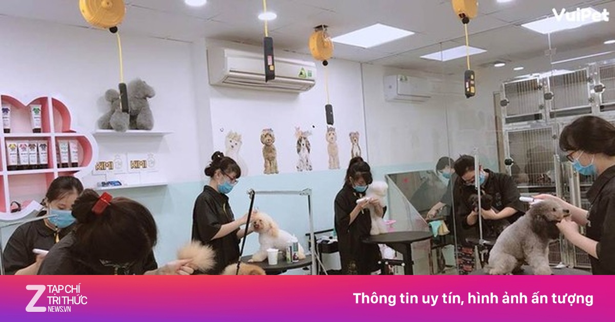 Bộ Nông nghiệp nói về đề xuất thành lập Hiệp hội cắt tỉa lông thú cưng ...