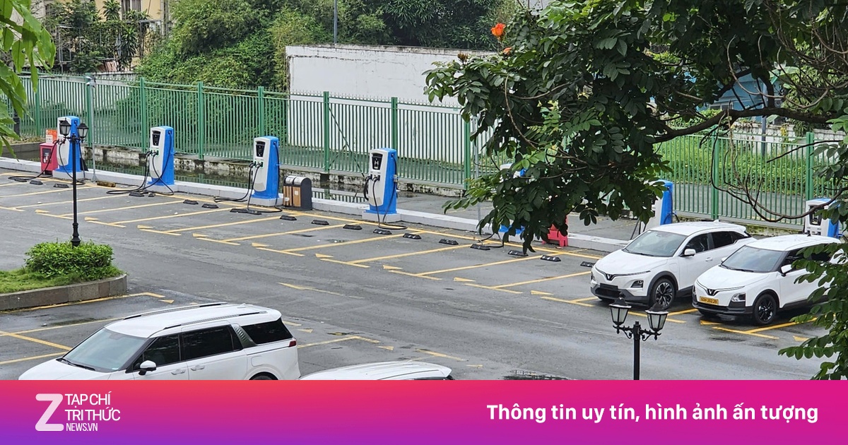 Phạt nặng tài xế ôtô không nhường đường xe ưu tiên ở TP.HCM - Xã hội ...