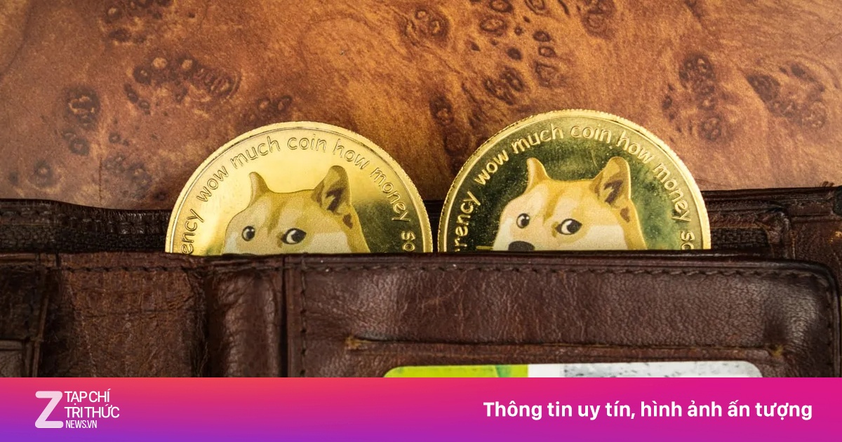 Thanh niên 2 lần trở thành triệu phú nhờ Dogecoin - Công nghệ - ZNEWS.VN