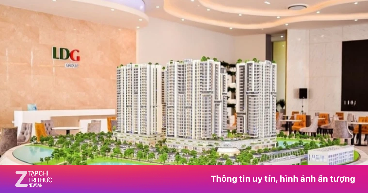 Cổ phiếu LDG 'nằm sàn' sau tin bị yêu cầu mở thủ tục phá sản - Kinh doanh - ZNEWS.VN