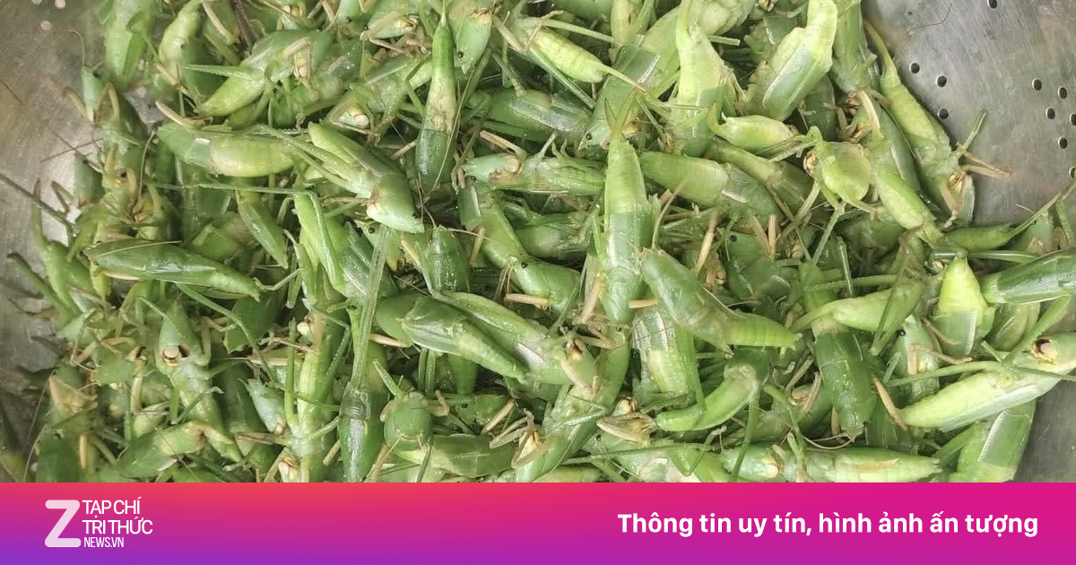 'Tóp mỡ xanh' thành món ăn của nhà giàu Hà Nội - Kinh doanh - ZNEWS.VN