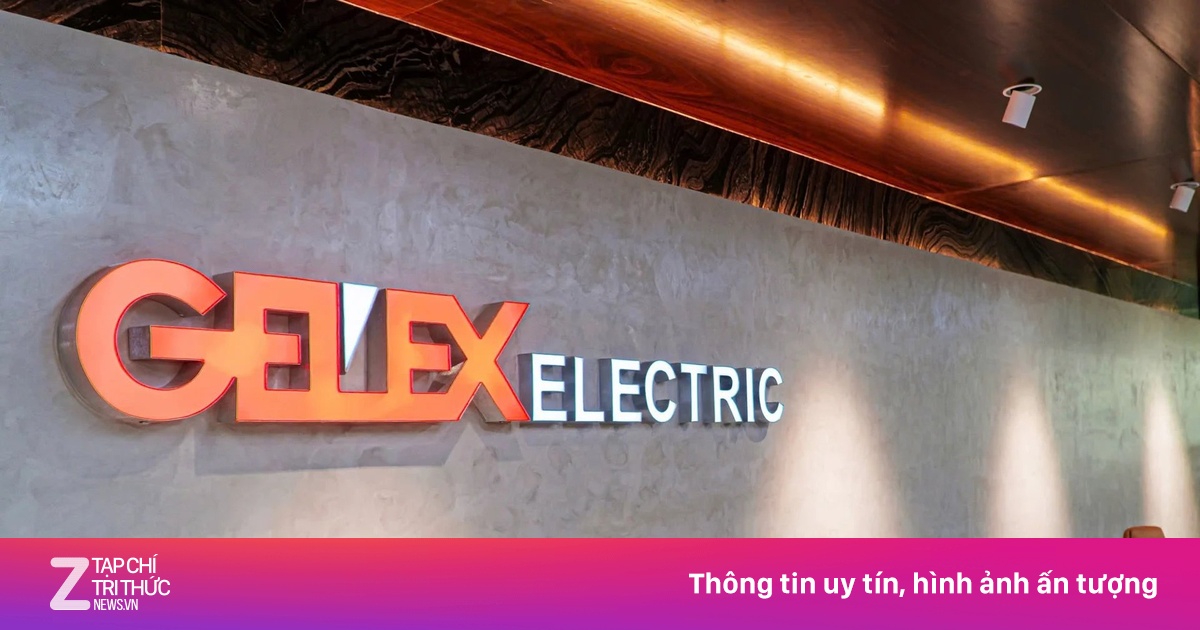 Điện lực Gelex lãi đột biến, giá cổ phiếu tăng gấp 5 lần từ đầu năm ...