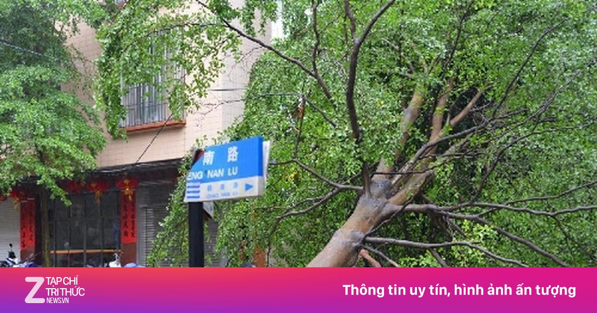 Bão Utor ập vào Trung Quốc, hơn 158.000 người sơ tán - Thế giới - ZNEWS.VN