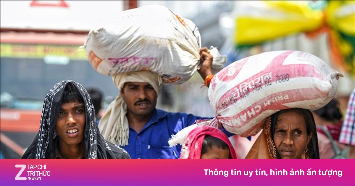 Nắng nóng thiêu đốt đẩy người lao động Ấn Độ vào vòng xoáy kiệt quệ ...
