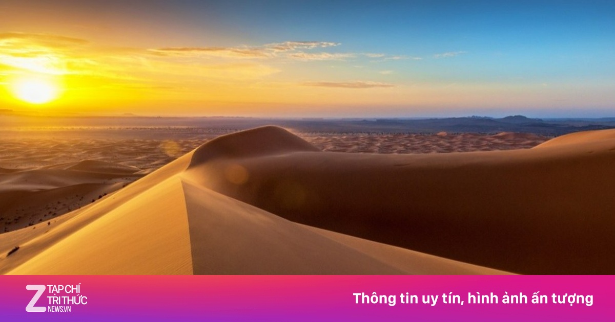 Những sự thật thú vị về sa mạc Sahara - Địa điểm du lịch - ZNEWS.VN