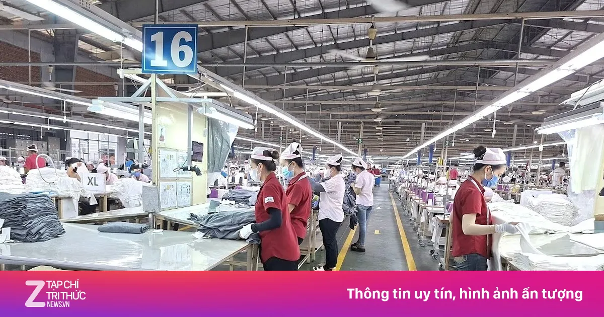 Doanh nghiệp FDI lâu đời nhất TP.HCM sắp đóng cửa | Znews.vn