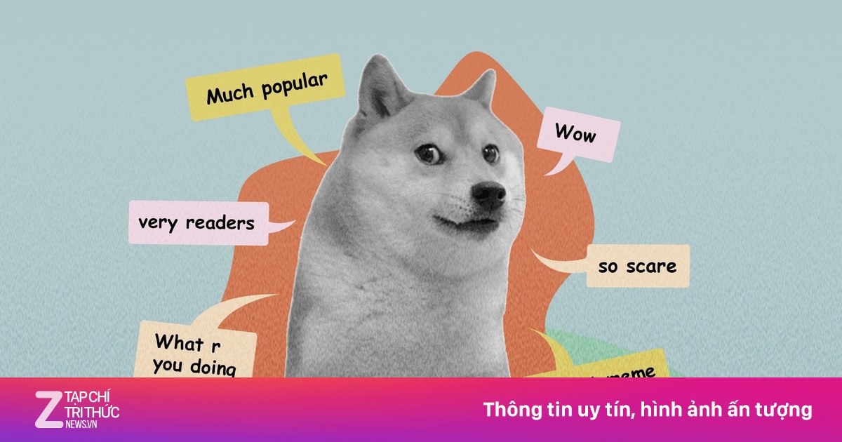 Chú chó biểu tượng meme Doge qua đời - Lifestyle - ZNEWS.VN