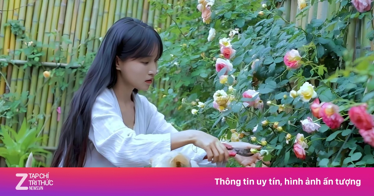 Giới trẻ Trung Quốc đổ xô về quê 'nghỉ hưu' | Znews.vn