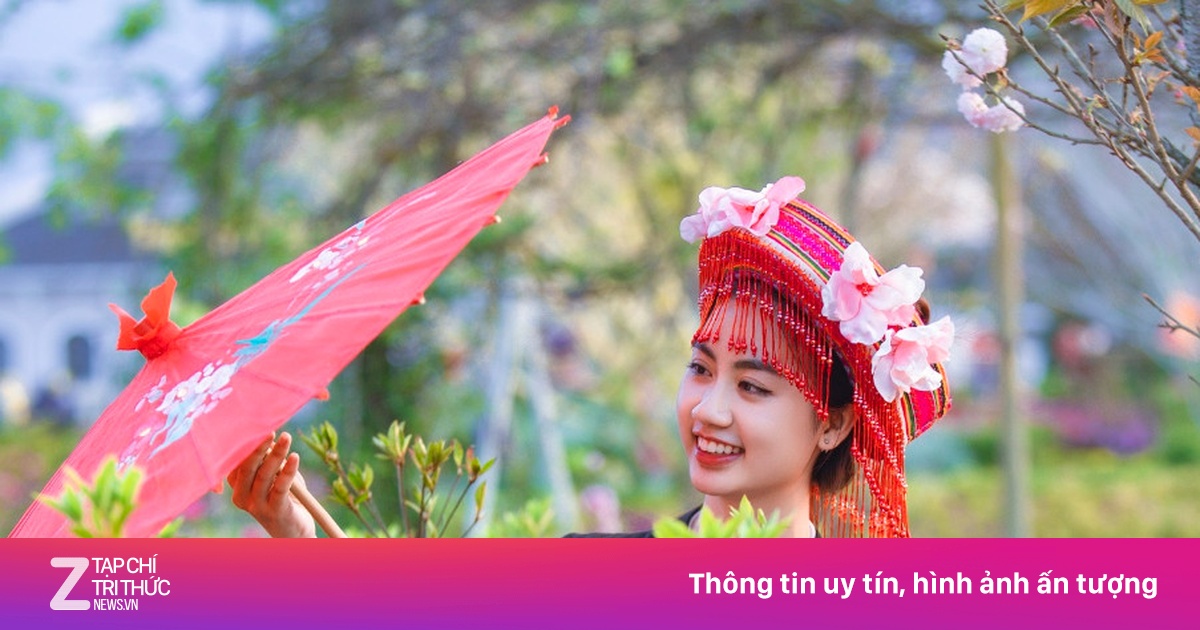 Sa Pa tổ chức lễ hội hoa hồng quy mô dịp 30/4 | Znews.vn