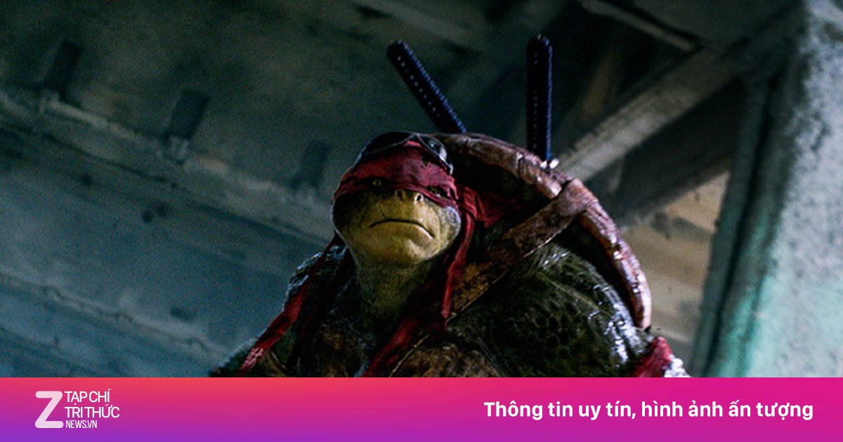 ‘Ninja Rùa’ tung hoành tại phòng vé Trung Quốc - Phim chiếu rạp - ZNEWS.VN
