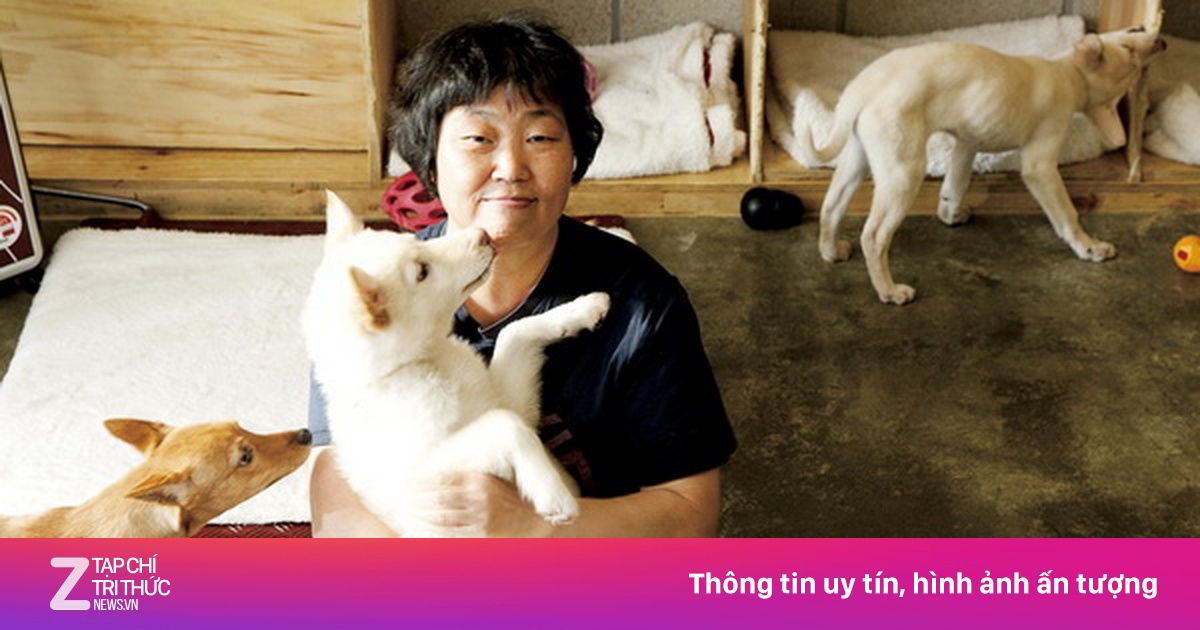 Nữ đạo diễn Yim Soon-rye: ‘Khán giả xem phim làm lại mãi sẽ thấy chán ...