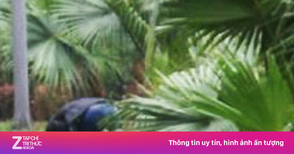 Lái xe Mercedes quỳ khóc sau khi hất người lên ca pô - Xã hội - ZNEWS.VN