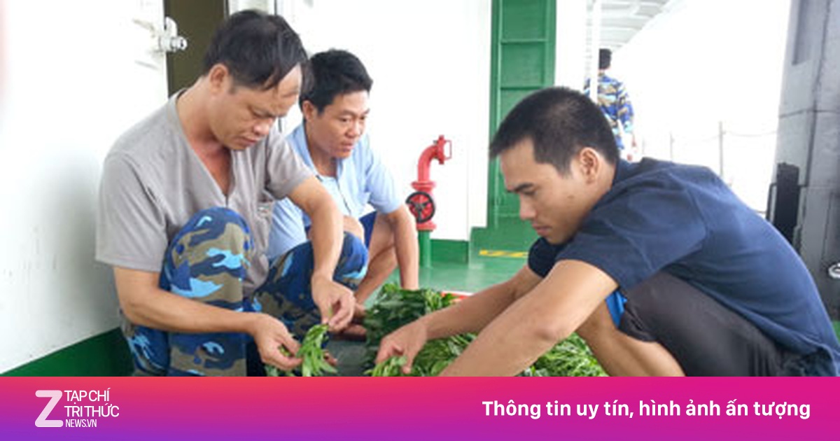Chuyện bếp núc trên tàu cảnh sát biển - Xã hội - ZNEWS.VN