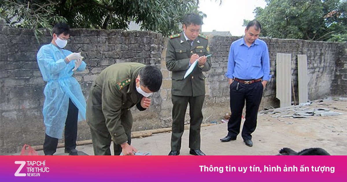 Quảng Ninh: 30 con gấu ngựa chết vì đói - Xã hội - ZNEWS.VN