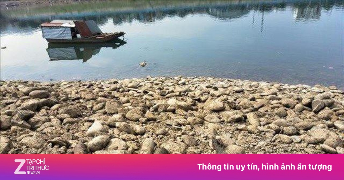 Phát hiện nhiều quả đạn pháo khi sông Đà cạn trơ đáy - Xã hội - ZNEWS.VN