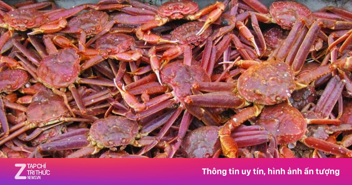 Cua tuyết Alaska biến mất bí ẩn | Znews.vn