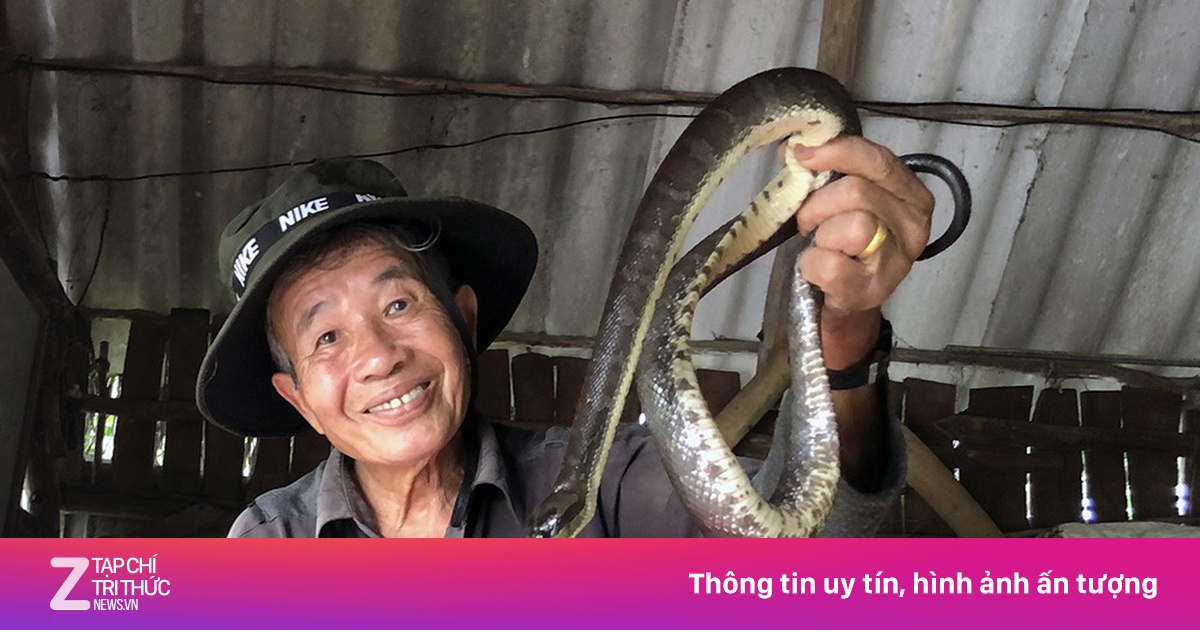 Độc đáo cuộc 'đi săn' của ông lão trong rừng U Minh Hạ - Xã hội - ZNEWS.VN