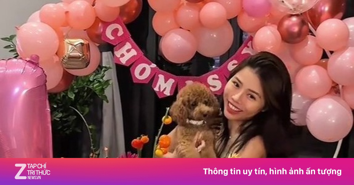 Tranh cãi chuyện cô gái chi 50 triệu đồng tổ chức sinh nhật chó | Znews.vn