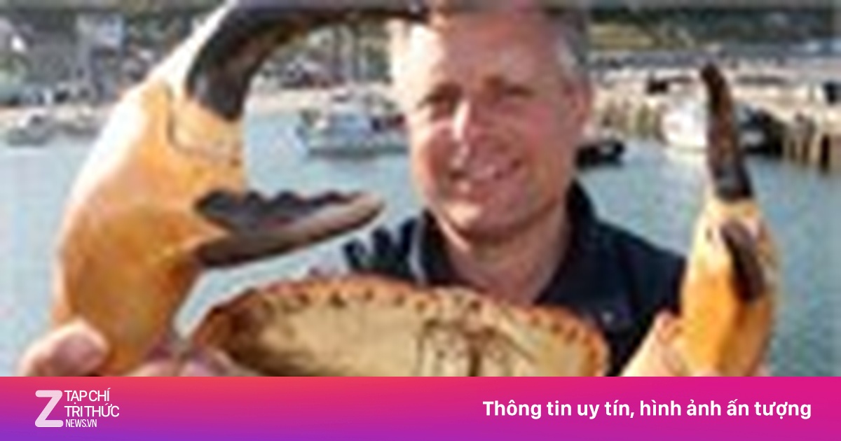 Phát hiện con cua khổng lồ - Chuyện lạ - ZNEWS.VN