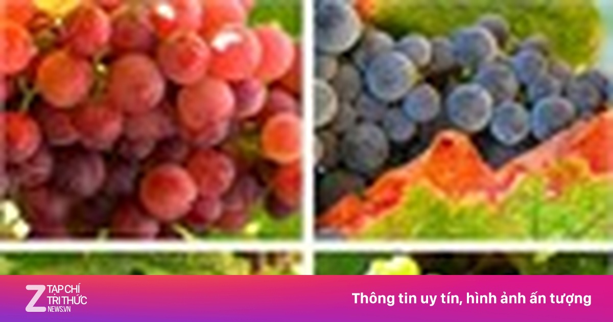 Phan Rang xứ của rượu nho! - Ẩm thực | Znews.vn