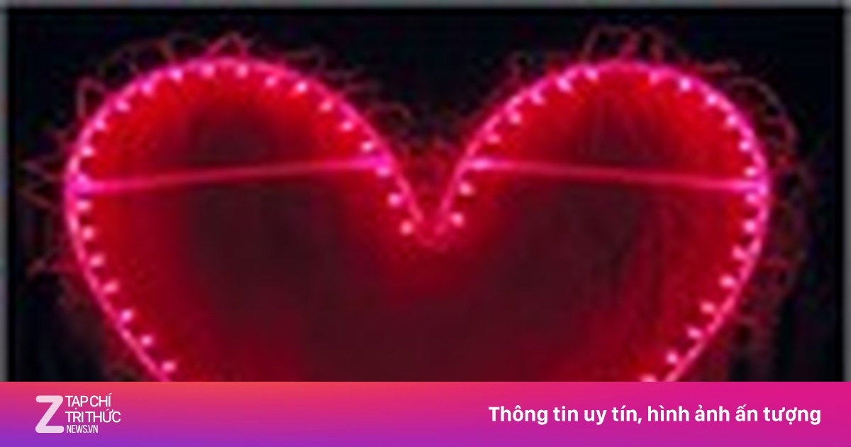 Trái tim bên gối - ZNEWS.VN