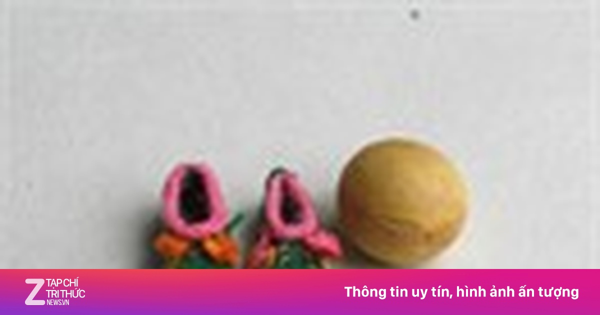Những đôi giày 'siêu mini' - Chuyện lạ - ZNEWS.VN