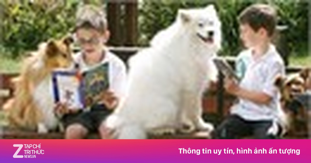 Đọc sách cho... chó để học tốt hơn - Chuyện lạ - ZNEWS.VN