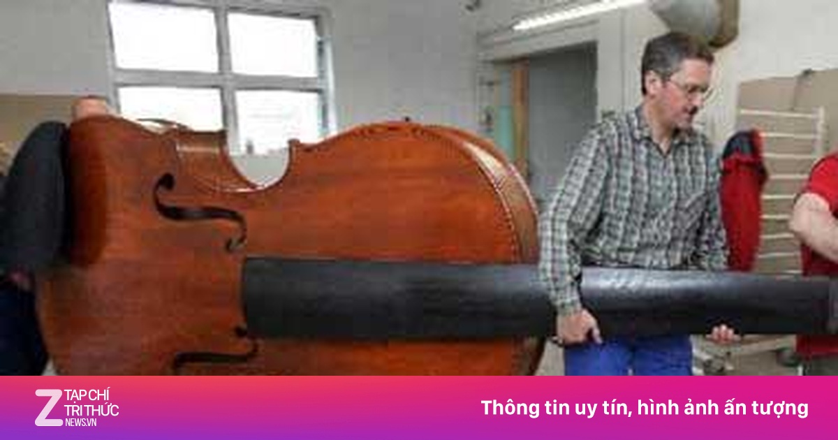 Cây đàn khổng lồ - Chuyện lạ - ZNEWS.VN