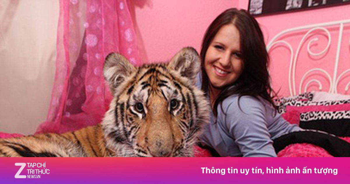 Ngủ chung với 'hổ cưng' - Chuyện lạ - ZNEWS.VN