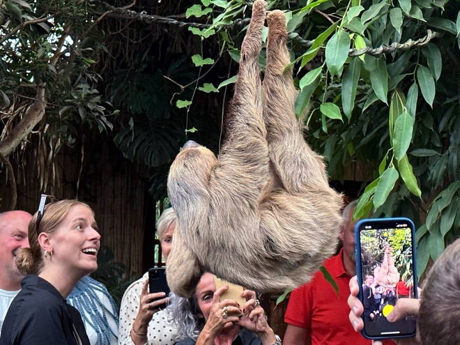 Sloth World Orlando: The World’s First Slotharium – New and Tips