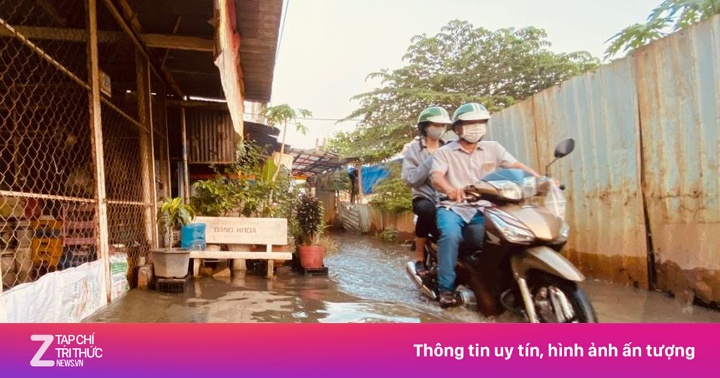 24h - Tin tức tức online 24h về 24h - ZNEWS.VN