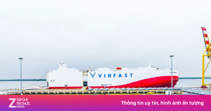 bao lo rong - Tin tức tức online 24h về báo lỗ ròng - ZNEWS.VN